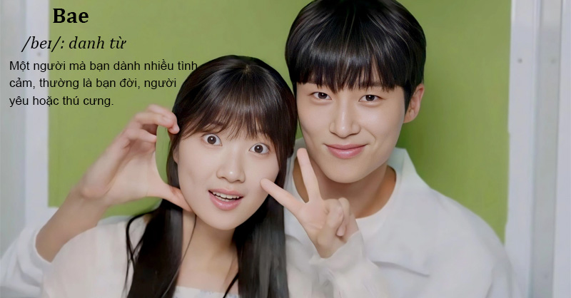 Bae là gì? Nguồn gốc và tầm quan trọng của thuật ngữ “Bae”