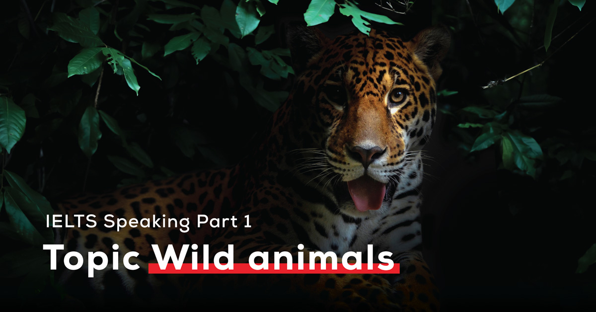 Theme: Wildlife - Sample IELTS Speaking Part 1 with Vocabulary