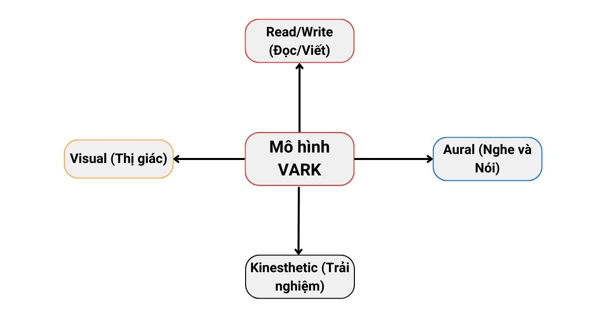 VARK Model | Application in IELTS Learning