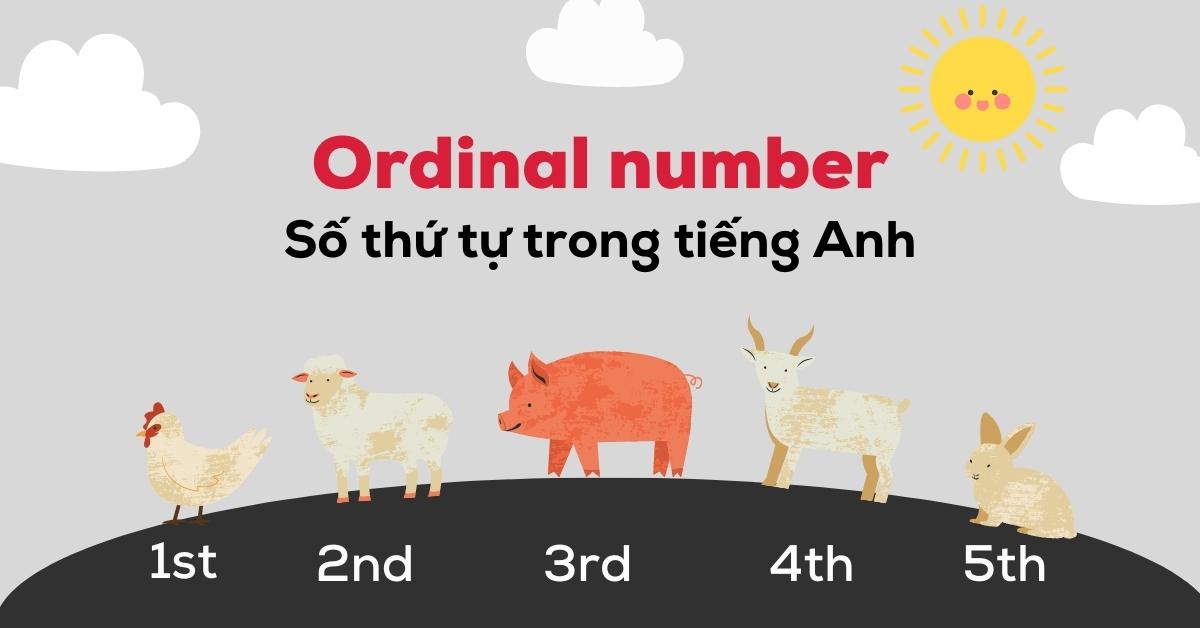 Distinguishing ordinal, cardinal, and nominal numbers | Mytour Academy