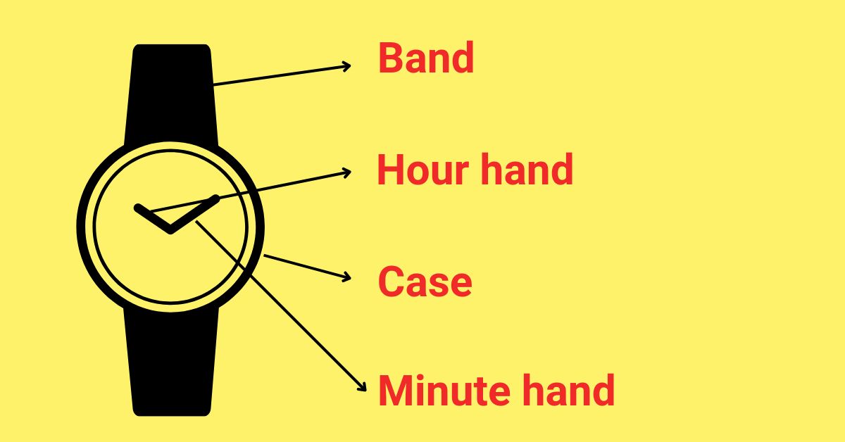 Sample article with IELTS Speaking Part 1 topic watches vocabulary