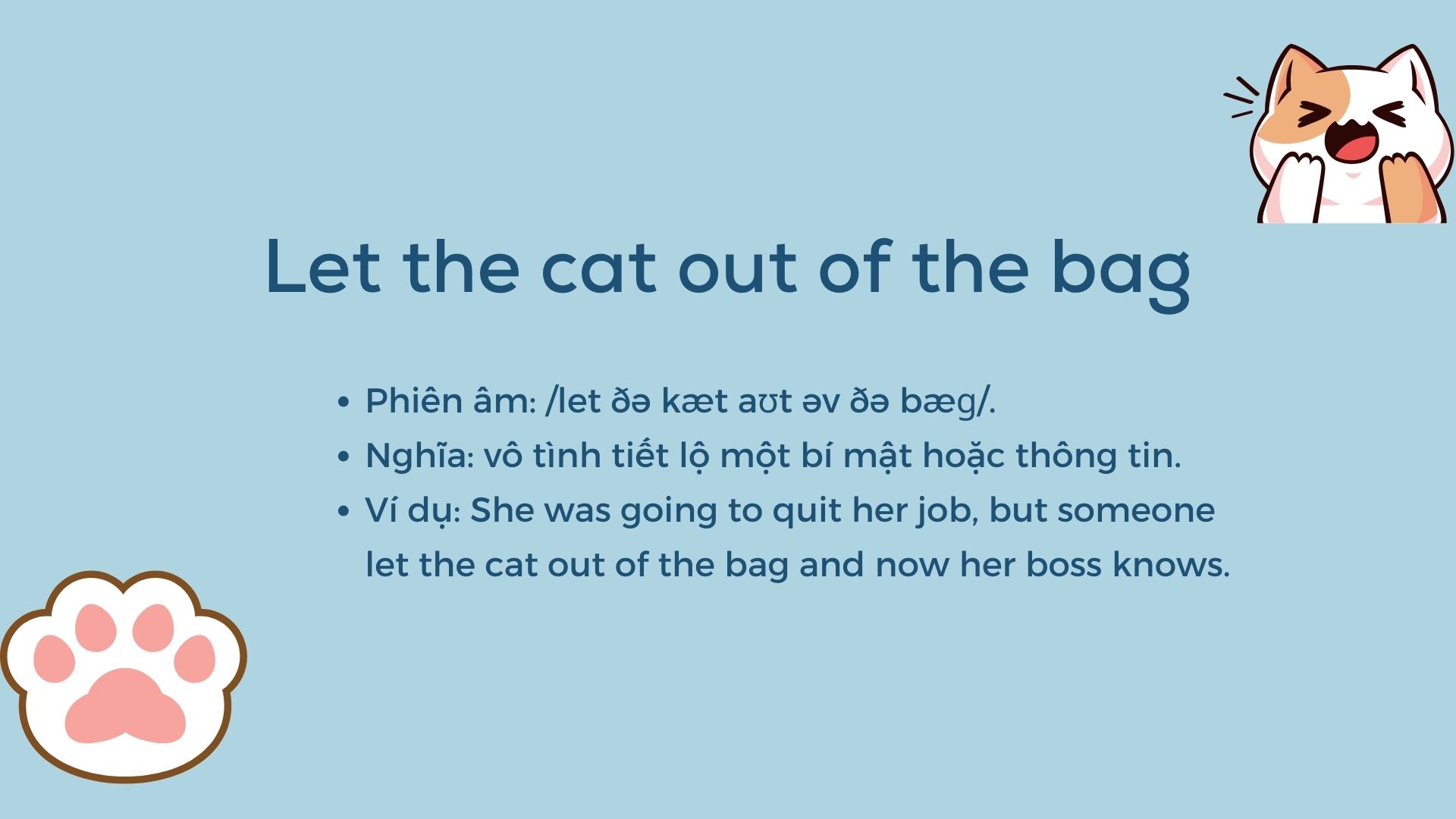 4 phrases involving cats - Idioms related to cats that you should remember