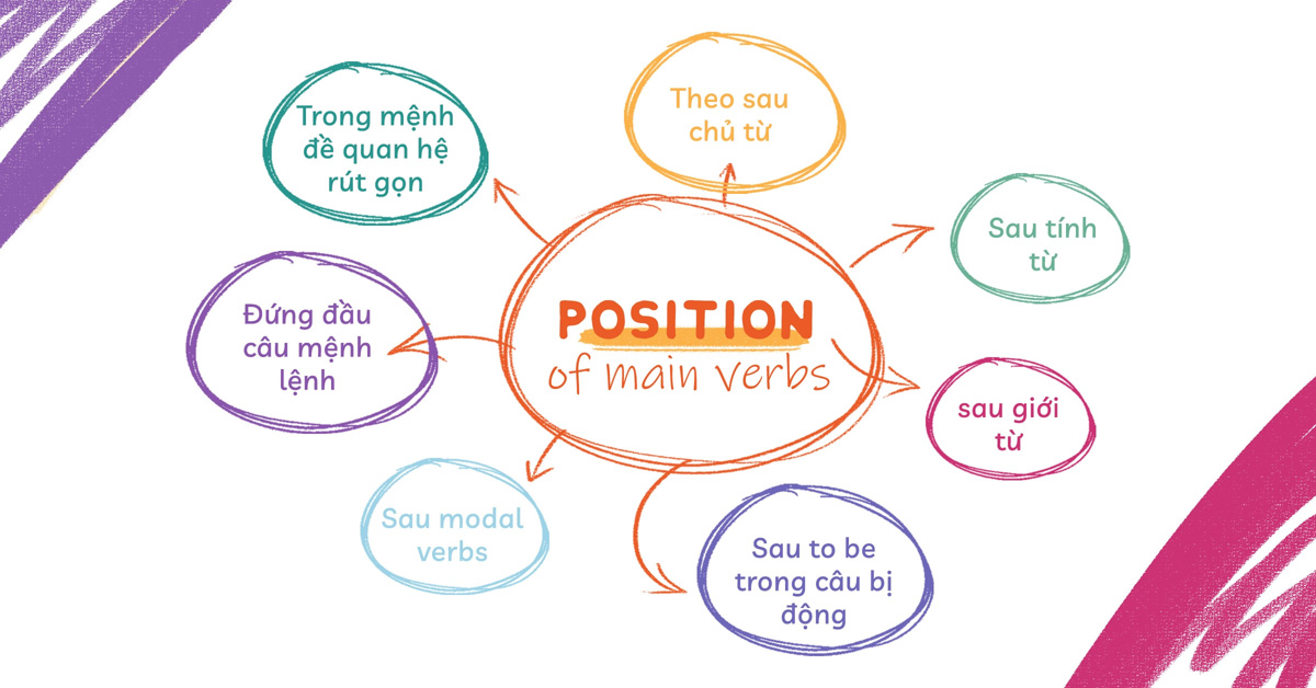 Verbs and the positions of verbs in sentences