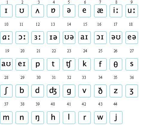 Examine the English phonetic chart (English 44 sounds)