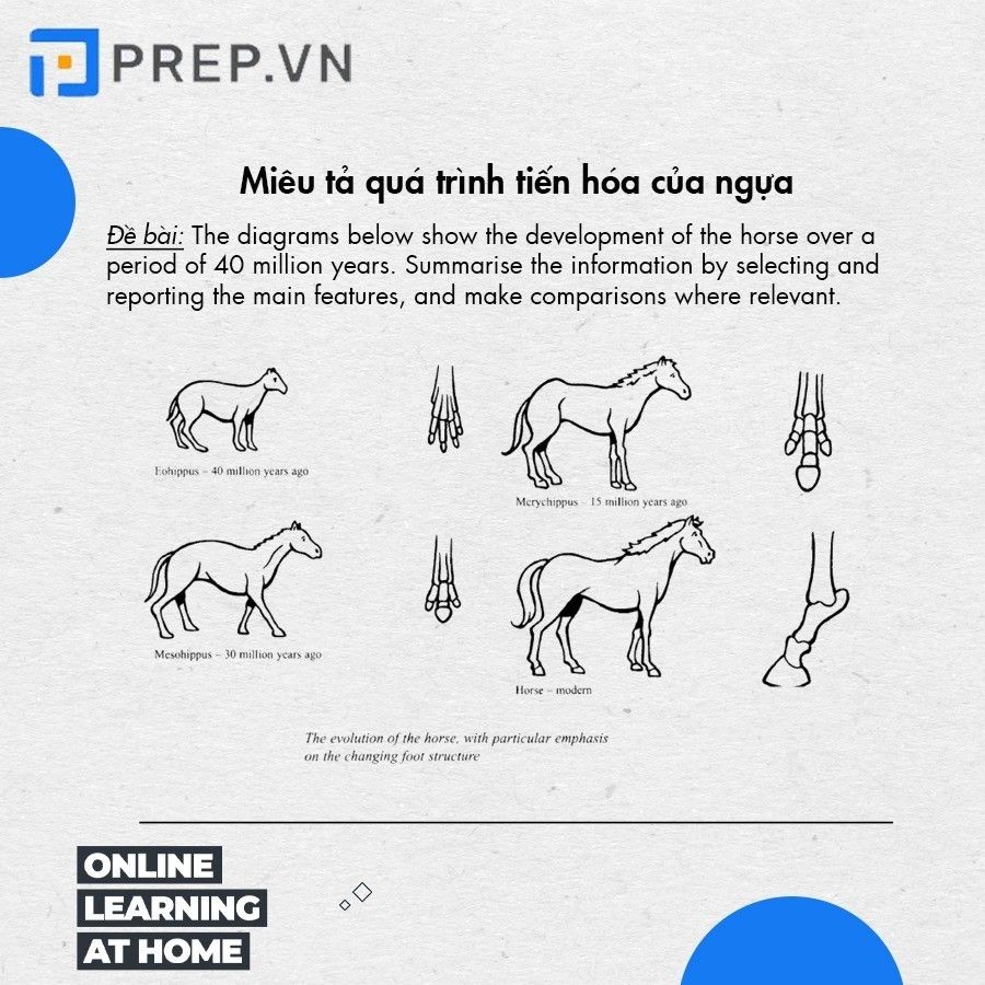 Phân tích đề thi IELTS Writing Task 1 Process/ Diagram khó năm 2023