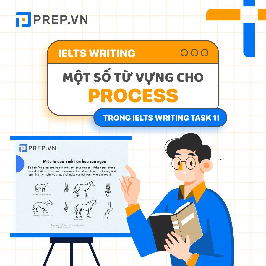 Tổng hợp từ vựng Process 'ăn điểm' cho IELTS Writing Task 1!