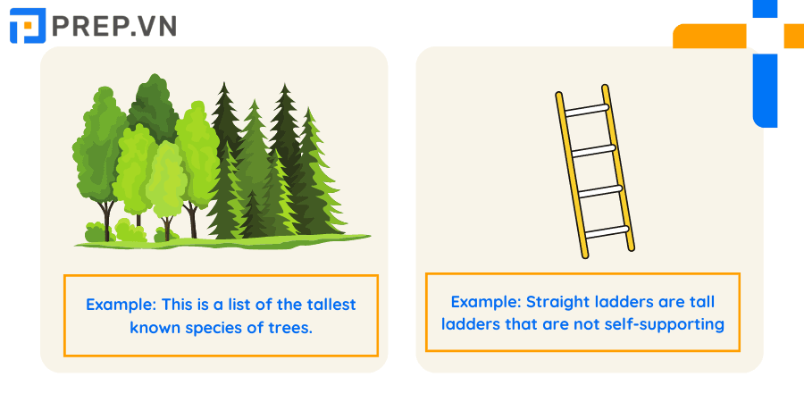 What do High and Tall mean? How to differentiate between High & Tall in ...