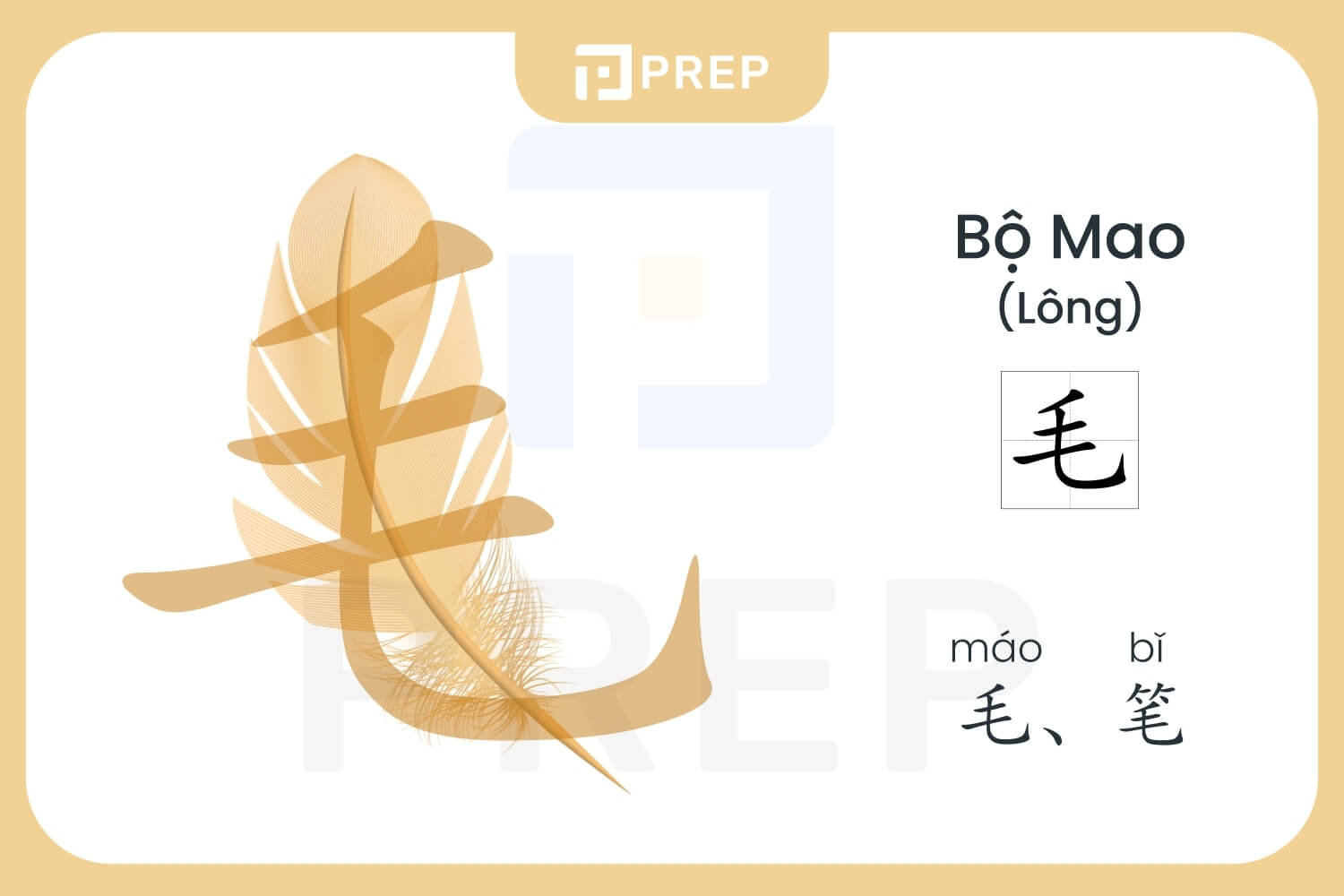 Bộ ký tự Mao trong tiếng Trung (毛): Ý nghĩa, cách viết và từ vựng