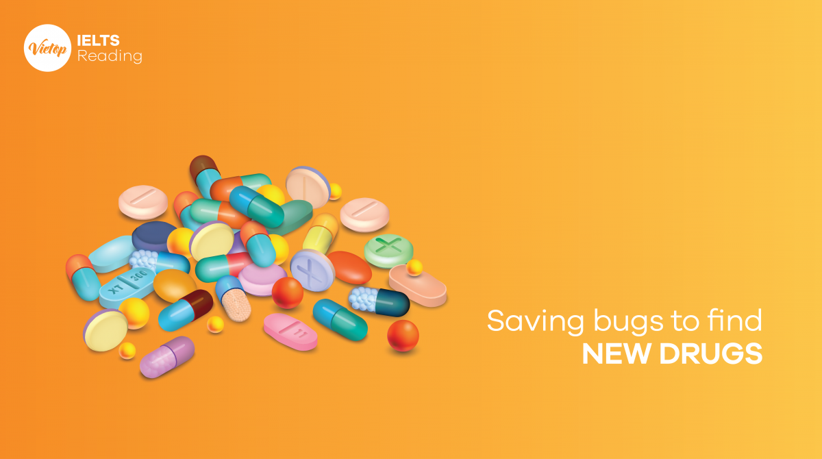 Exploring Practice: Discovering insects for potential pharmaceutical ...