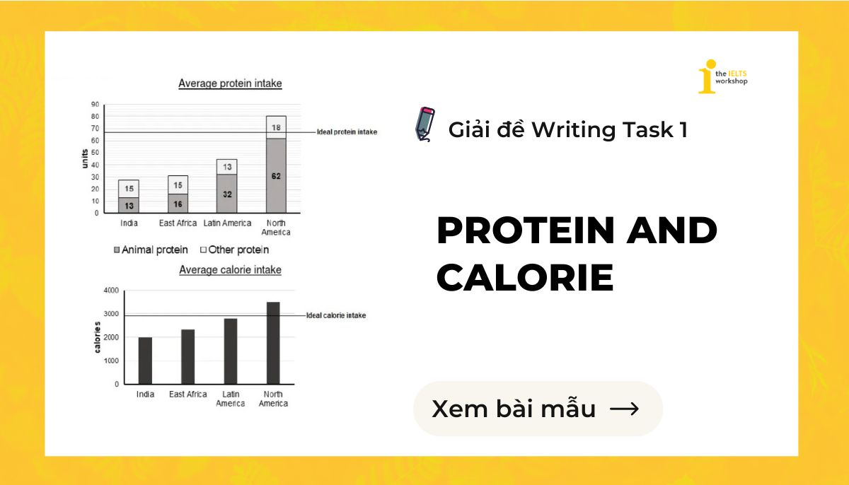 topic-protein-and-calorie-intake-ielts-writing-task-1
