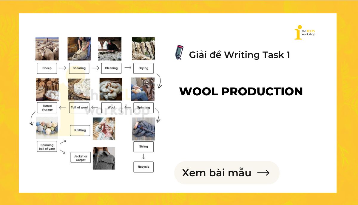 Giải đề Wool Production - The image illustrates the process of wool ...