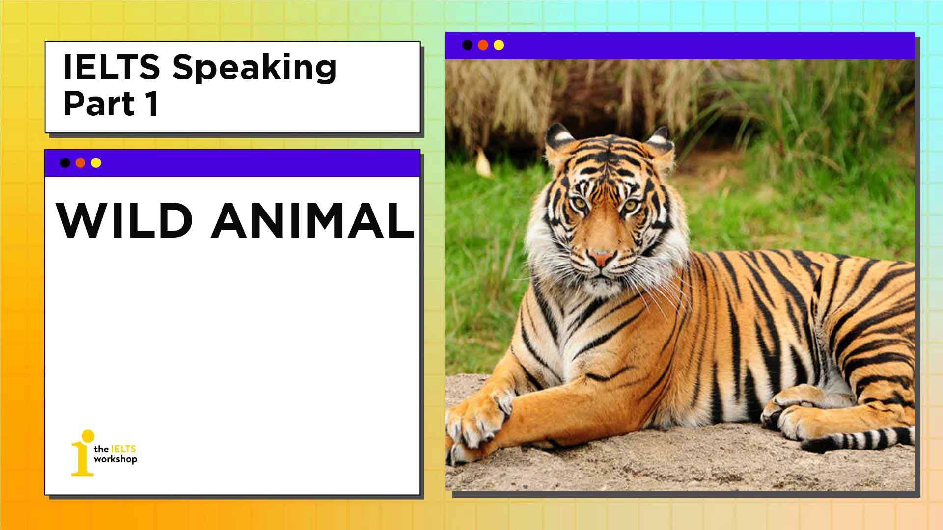 Subject: IELTS Speaking Part 1 Wildlife