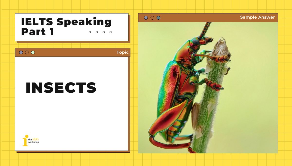 Subject: Insects in IELTS Speaking Part 1