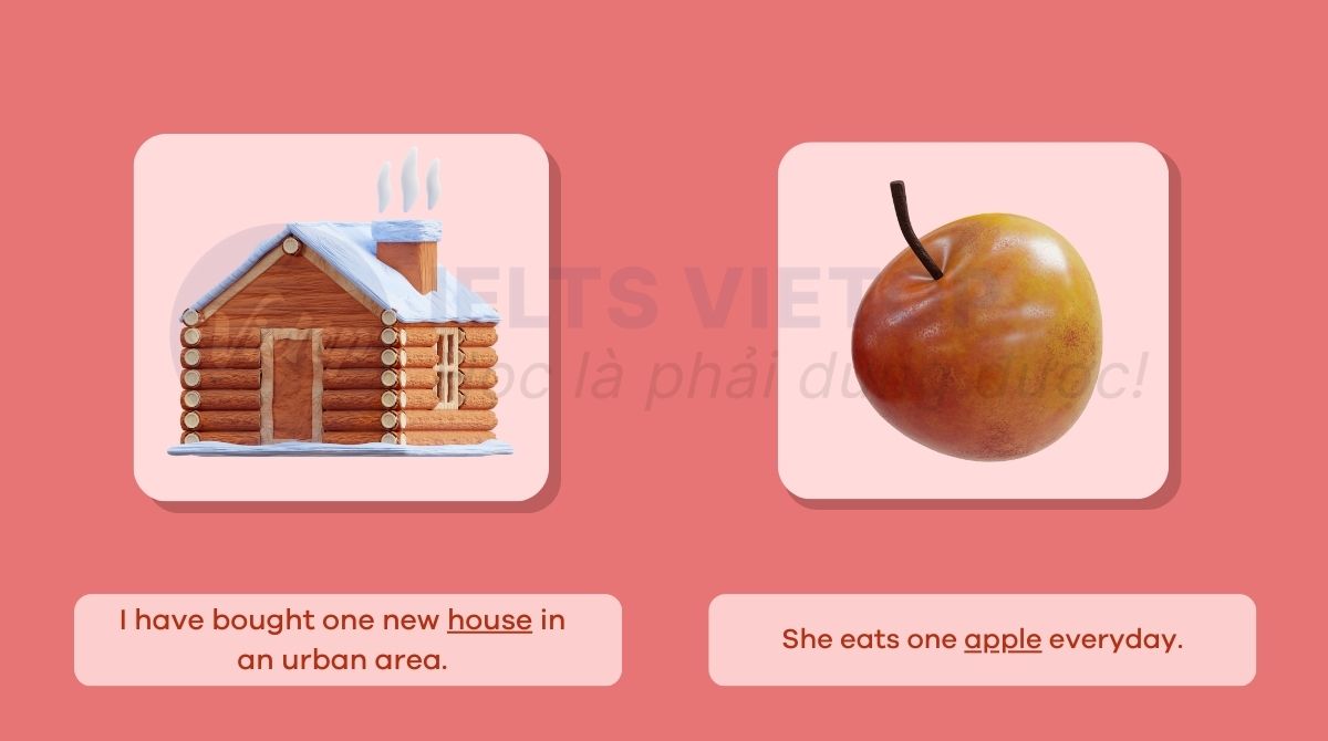 What is a singular noun? The function of singular nouns in English - Mytour
