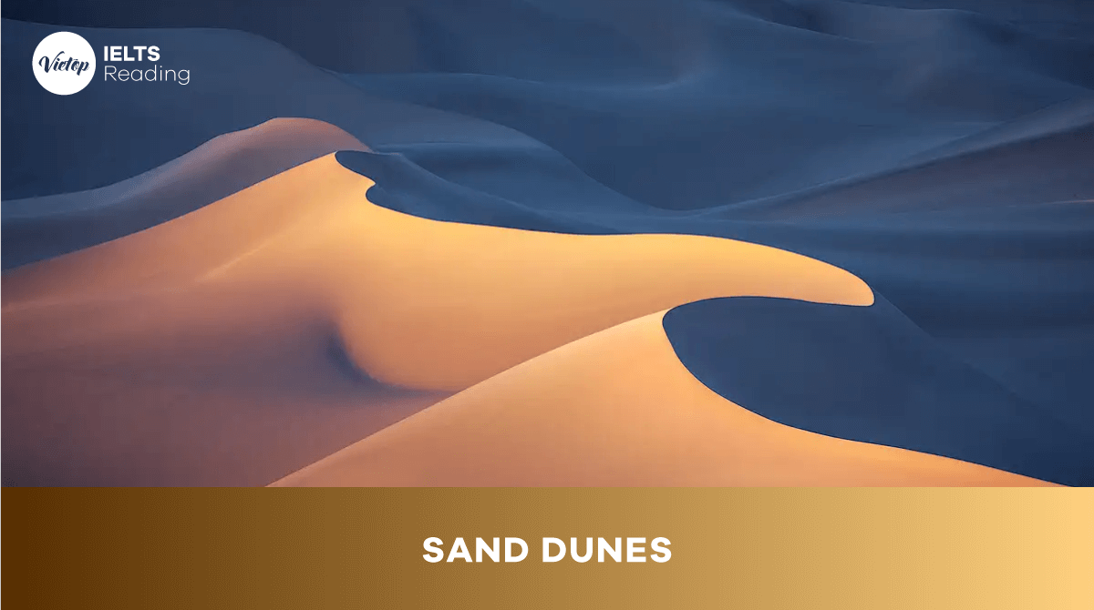 Reading Exercise: Sand Dunes - Mytour