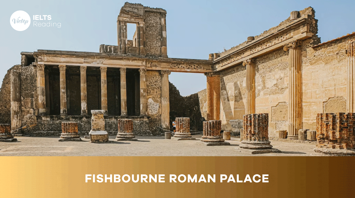 Reading Exercise: Fishbourne Roman Palace - Mytour