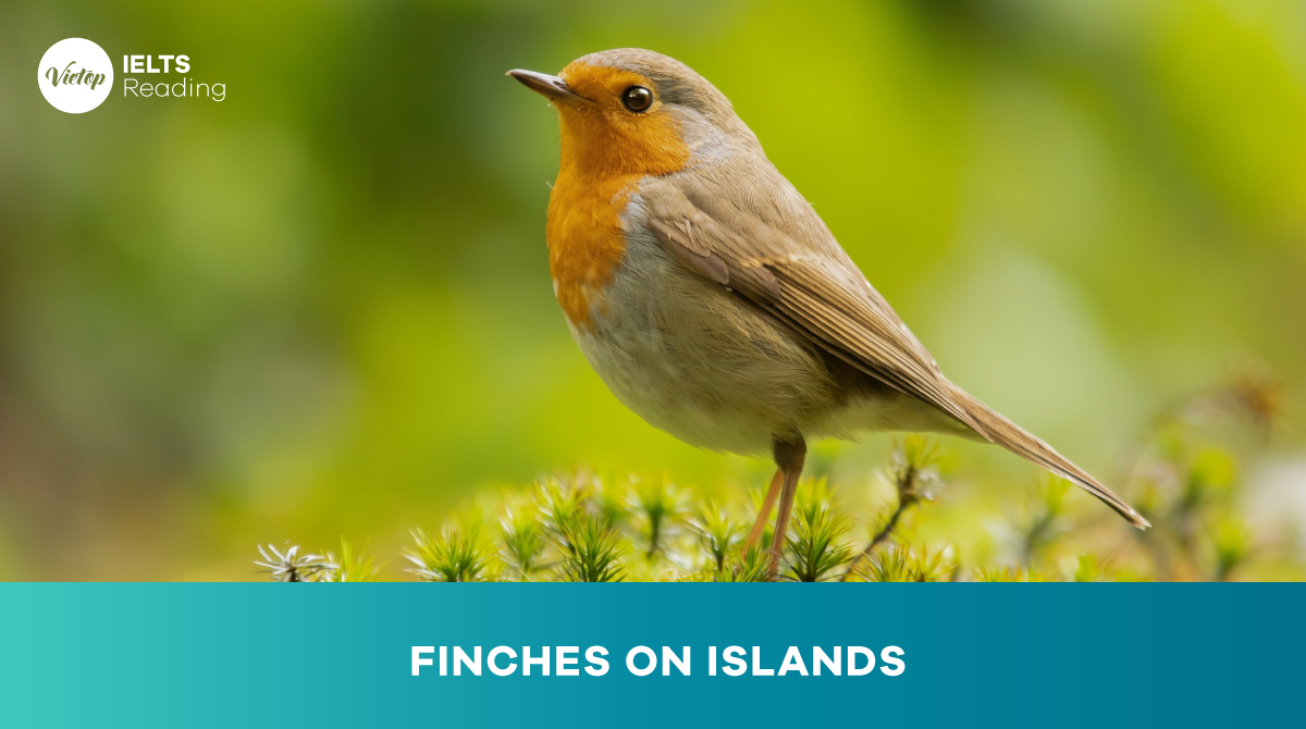 Reading Exercise: Finches on Islands