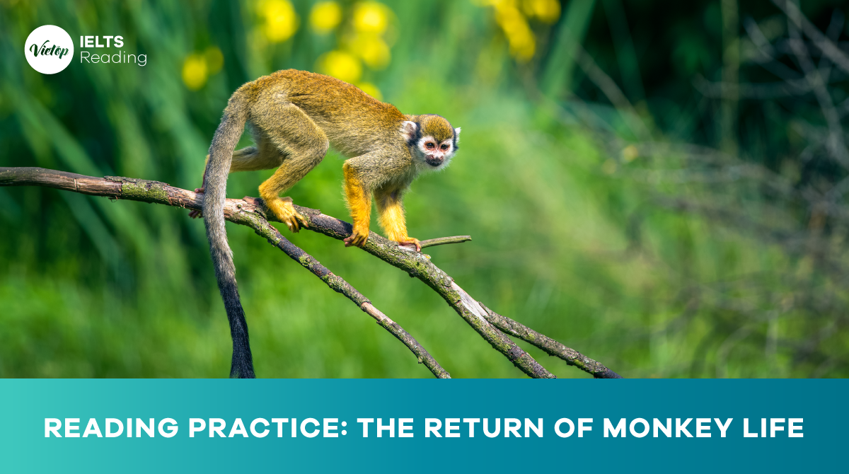 Reading exercise: The resurgence of simian life