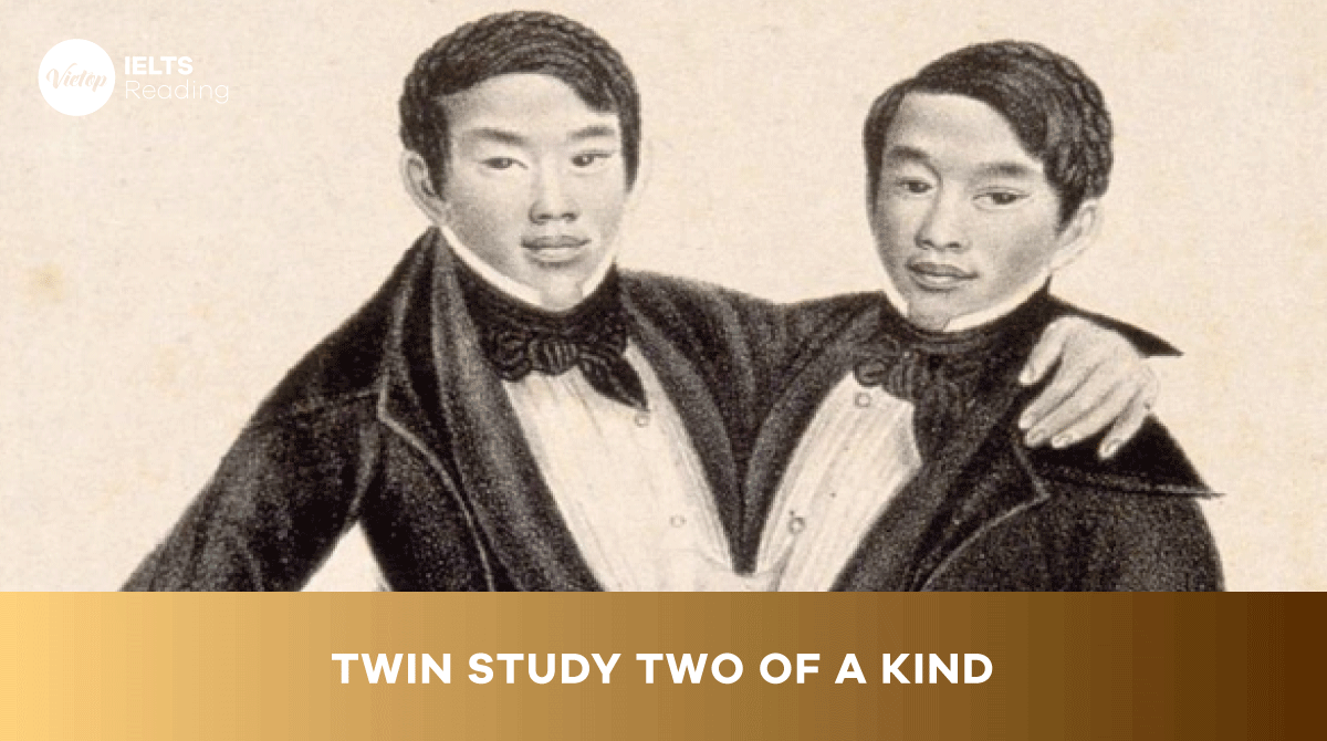 Practice Reading: Study on Twins: The Pair Phenomenon - Mytour