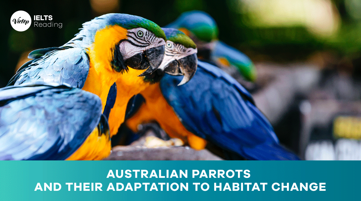 Reading Exercise: Australian parrots and their adaptation to changes in ...