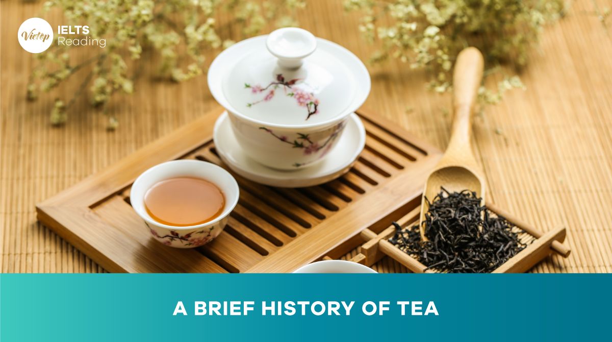 Reading Practice: An Overview of Tea History - Mytour