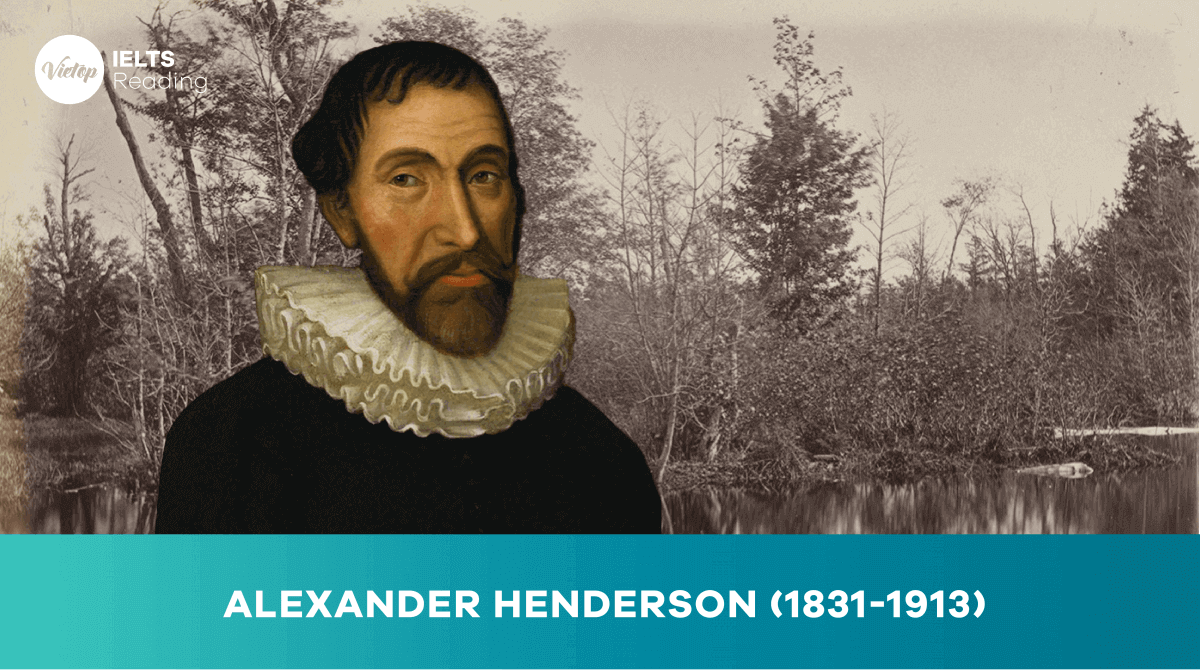 Study Material: Alexander Henderson (1831-1913) - Mytour