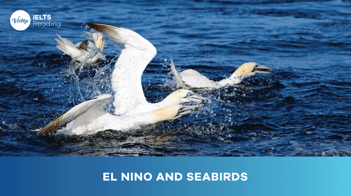 Reading Exercise: El Nino and Seabirds - Mytour