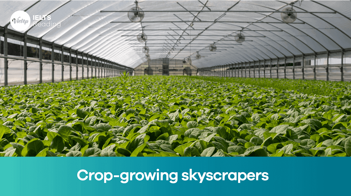 Urban Agriculture: High-rise Farms - Mytour