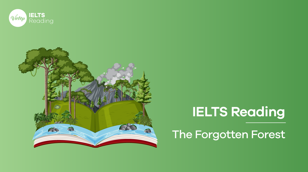 Reading Exercise: The Forgotten Forest - Mytour