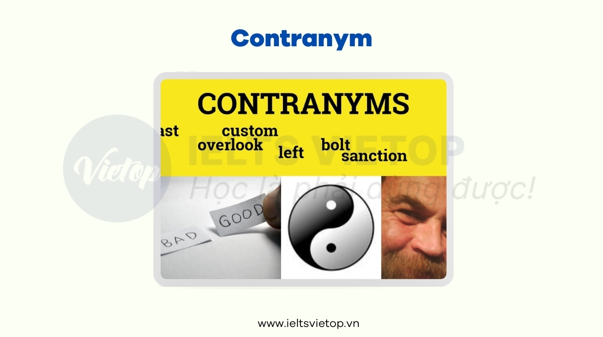 What is a contranym? Top 10 most common contranyms in English - Mytour