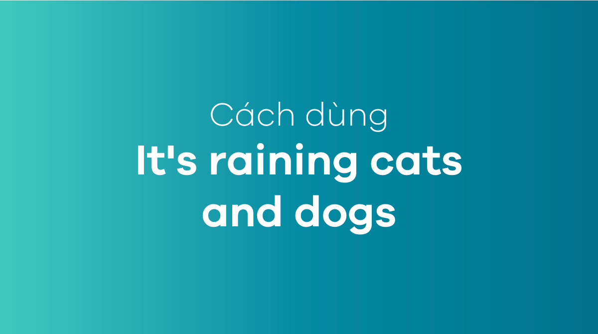 What does It's raining cats and dogs mean? Origins, meanings, and usage ...