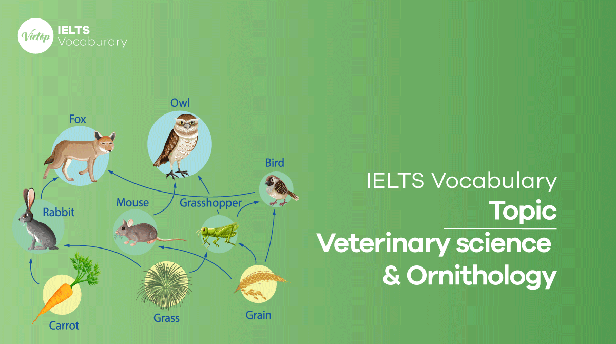 IELTS Vocabulary topic: Veterinary Science and Ornithology - Mytour