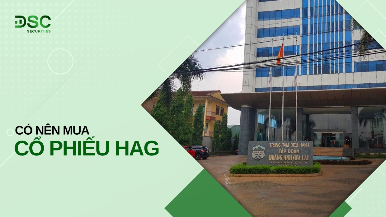 Có nên đầu tư vào cổ phiếu HAG - CTCP Hoàng Anh Gia Lai không?