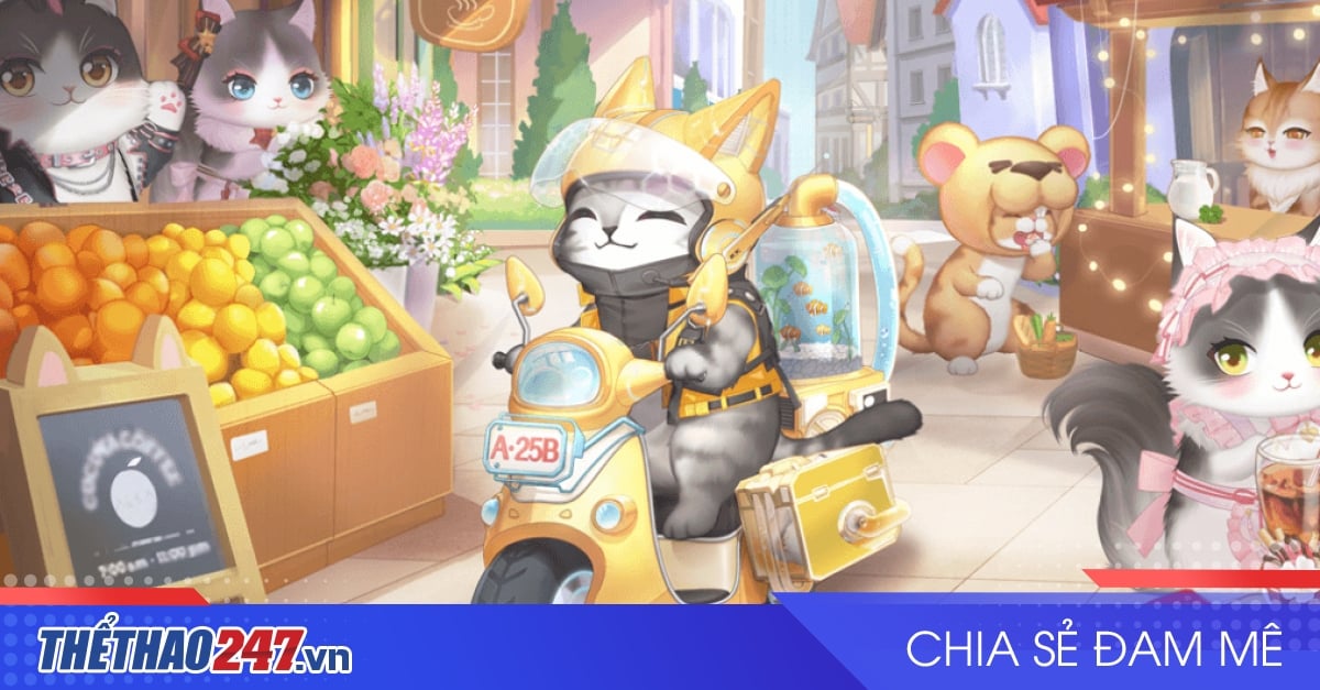 Cách nhận Code Me&Meo: Bé Mèo Của Tôi mới nhất