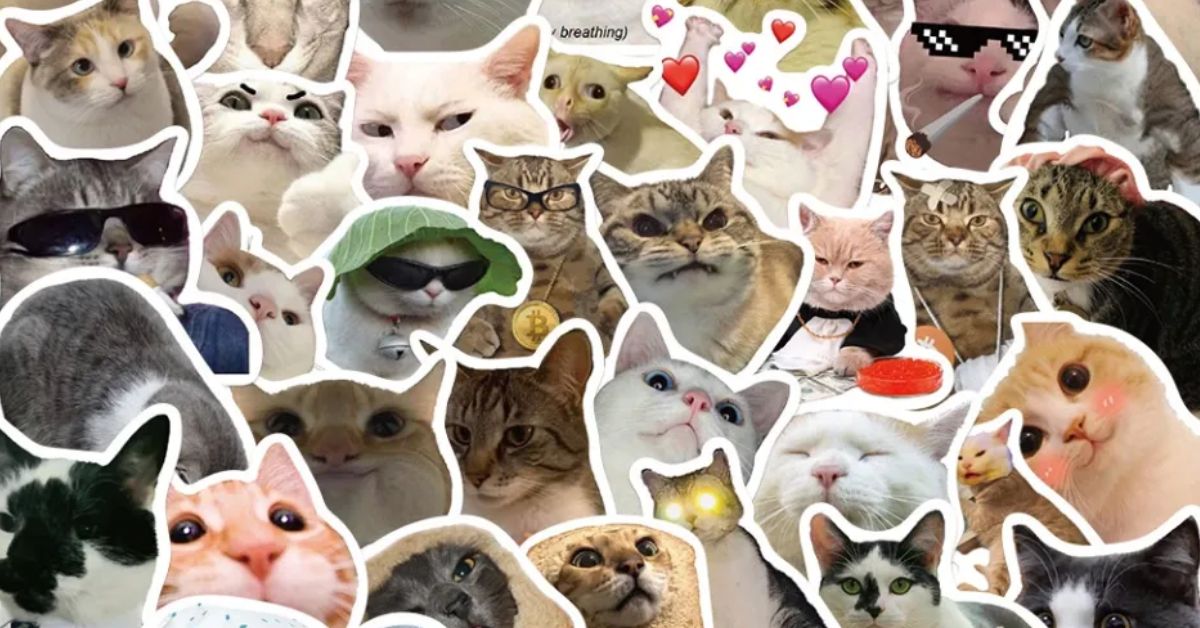 Ảnh chế mèo: Tuyển tập hơn 1000 meme mèo vui nhộn và độc đáo!
