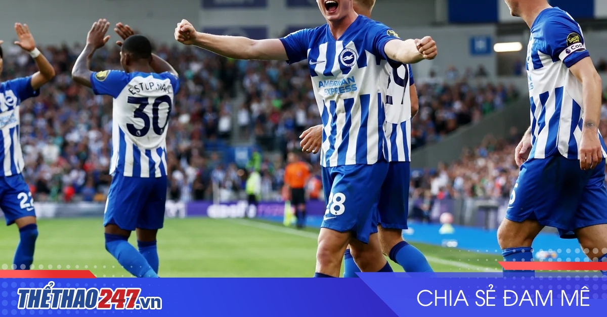 Dự đoán và nhận định trận đấu QPR vs Brighton vào lúc 21h00 ngày 03/08/2024
