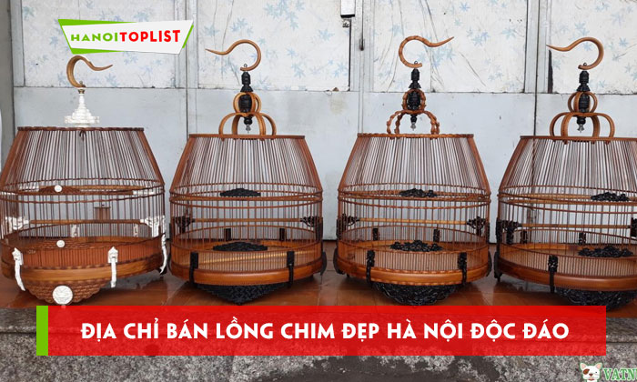 Khám phá những địa chỉ bán lồng chim đẹp nhất tại Hà Nội | TOP 11+ gợi ...