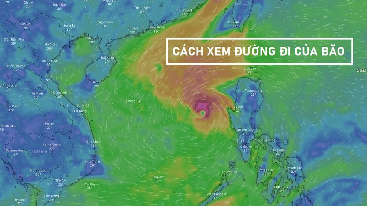 Cách theo dõi lộ trình bão chính xác trên điện thoại và máy tính