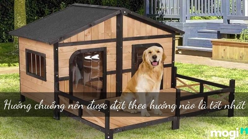 Chuồng nuôi nên được bố trí theo hướng nào để thú cưng khỏe mạnh?