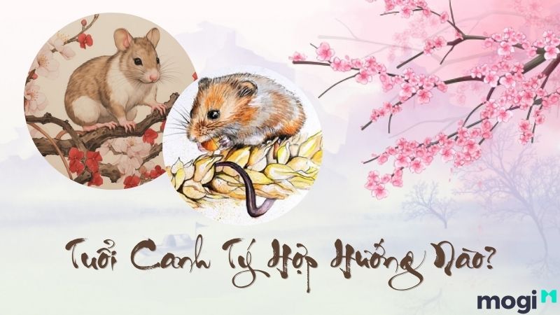 Hướng Nhà Phù Hợp Với Tuổi Canh Tý: Tìm Hiểu Các Hướng Lý Tưởng Cho ...
