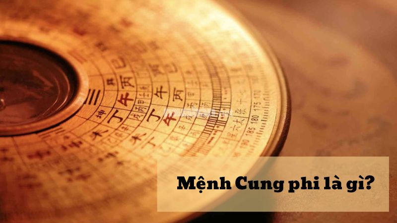 Cung phi là gì? Phương pháp tính cung phi đơn giản và dễ hiểu