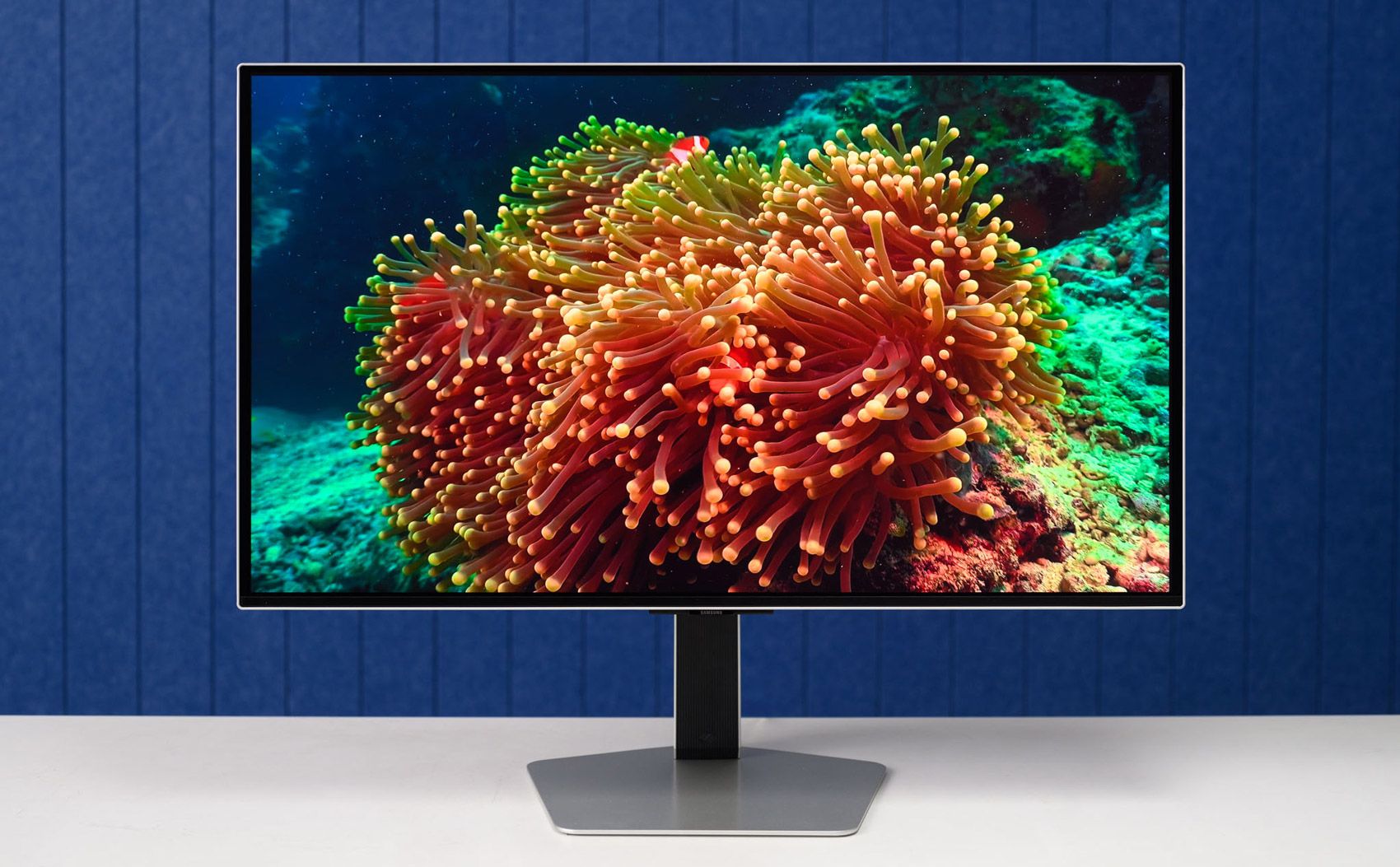 TrendForce: Màn hình OLED cho máy tính sẽ tăng trưởng gần gấp ba trong ...