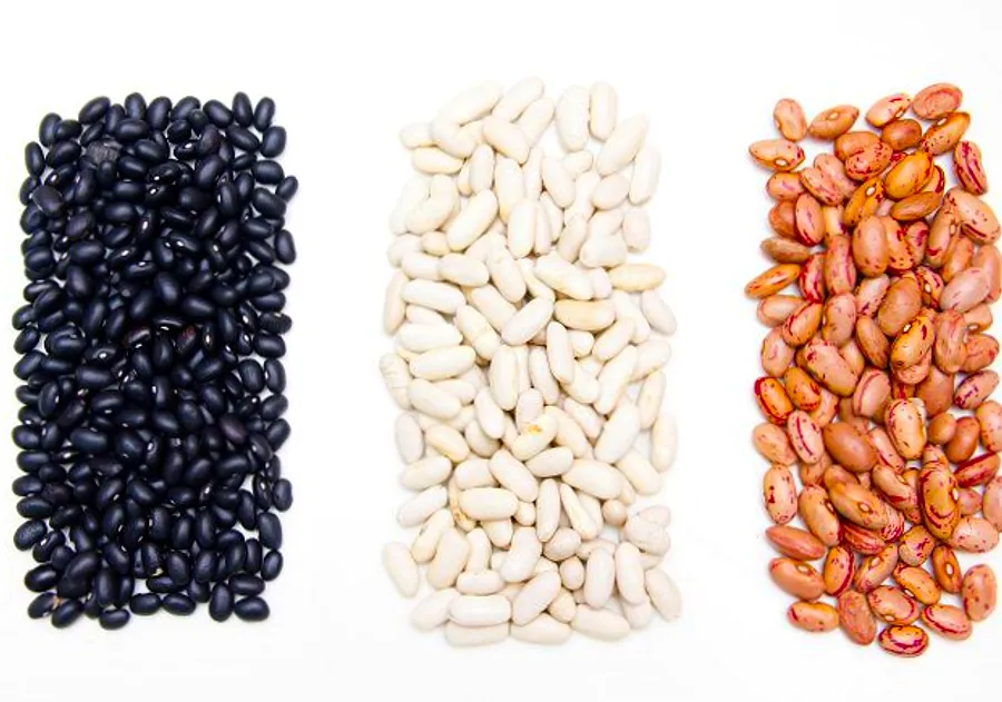 15 Different Types of Beans and How to Cook Them