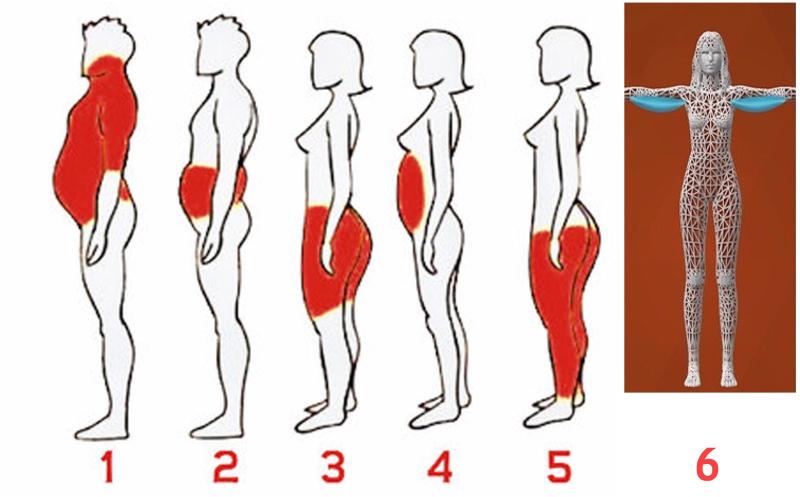 Top 6 Areas Prone to Fat Accumulation on the Body and How to Address ...