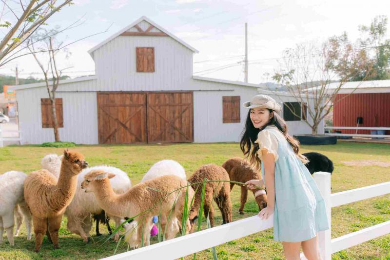 Top 8 Most Beautiful and Famous Farms in Da Lat, Lam Dong - Mytour.vn