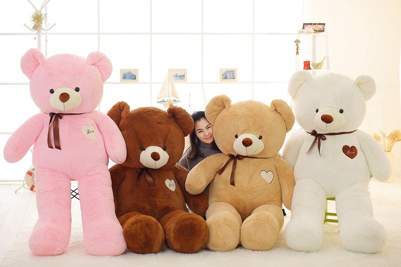 Top 3 Best Places to Buy Cute and High-Quality Teddy Bears in Ha Long ...