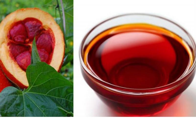 Top 9 Beauty Benefits of Gac Oil - Mytour.vn