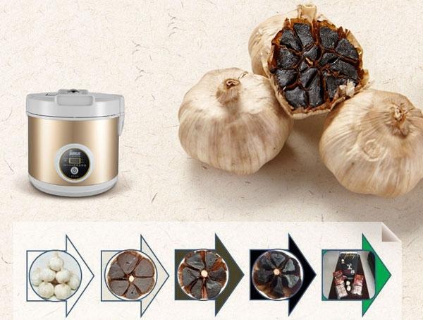 Top 6 Best Black Garlic Machine Brands in Vietnam - Mytour.vn