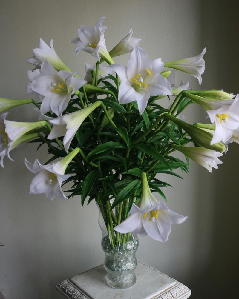 Top 7 Most Famous Clay Flower Shops in Ho Chi Minh City - Mytour.vn