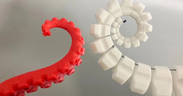 Cánh tay robot mô phỏng từ vòi voi và xúc tu của bạch tuộc